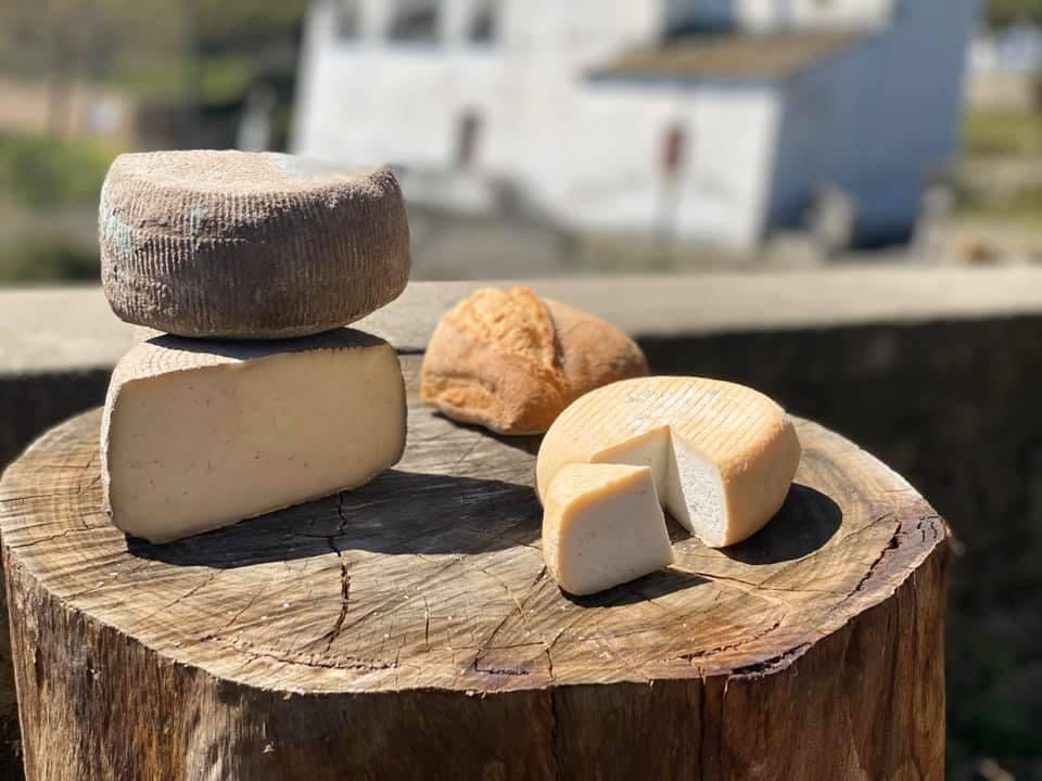Fromage Corse Patrice Santucci Fromage De Ch vres U Gustu Corsu fromage-corse-patrice-santucci-fromage-de-ch-vres-u-gustu-corsu